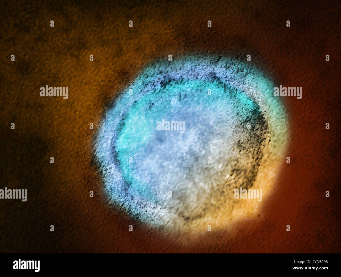 A Nipah virus particle budding from a cell used to grow viruses Stock ...