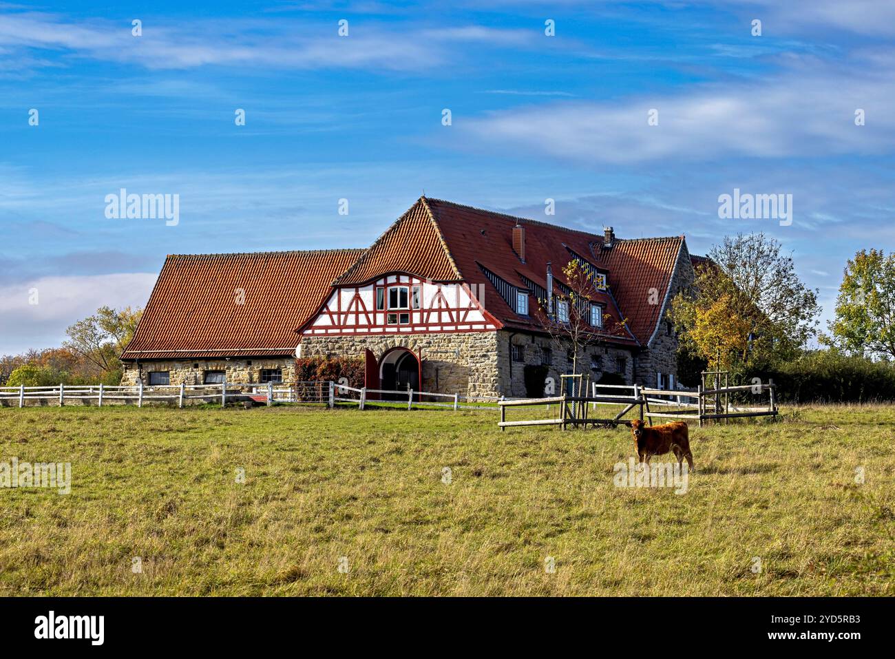 The Village and Stud Farm of Altefeld in Hesse Stock Photo - Alamy