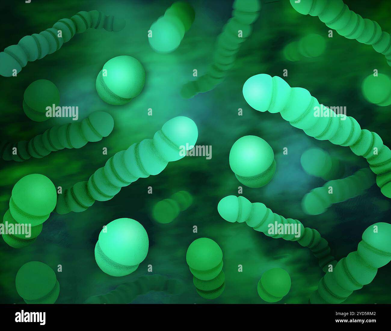 Streptococcus bacteria hi-res stock photography and images - Alamy