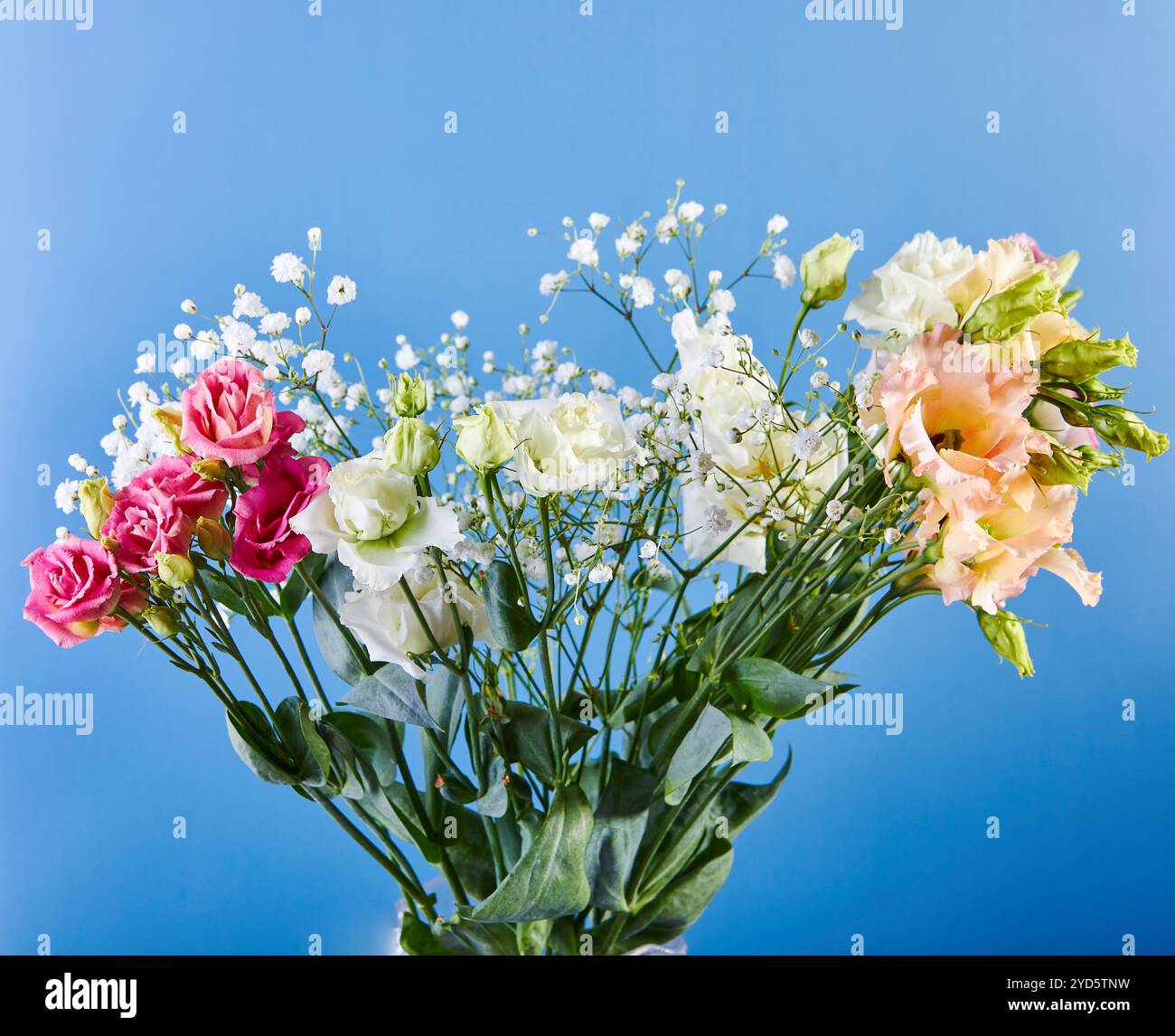 Bouquet of white gypsophila and eustoma, commonly known as lisianthus ...