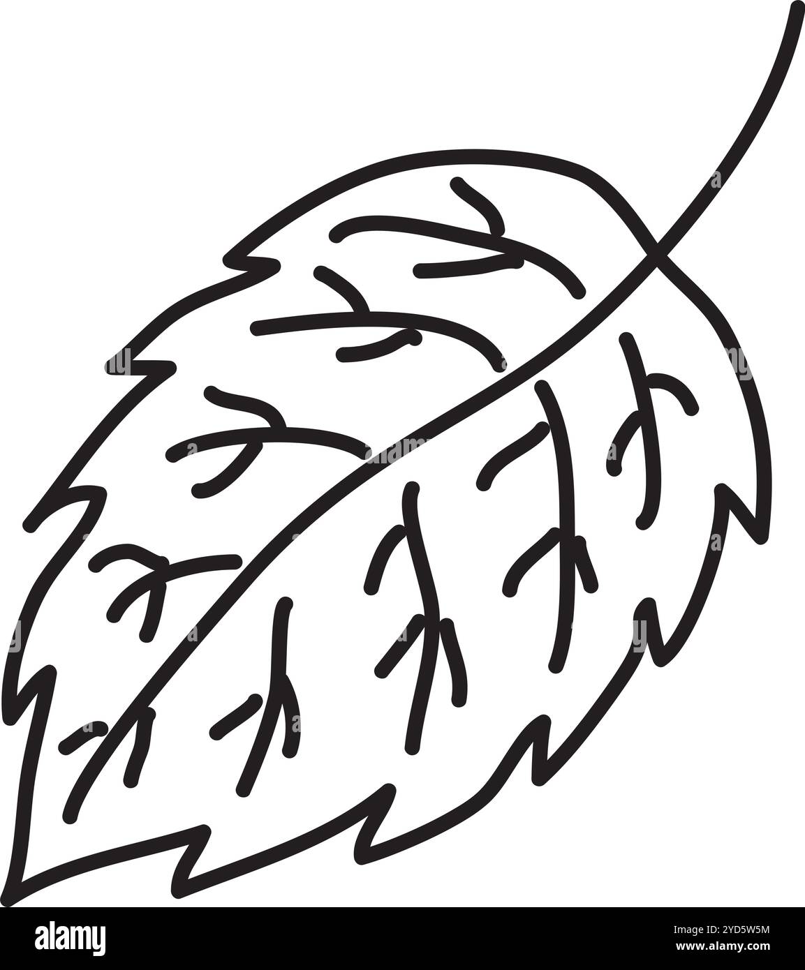 leaf with veins with sharp edges, hand drawn with black brush, white ...