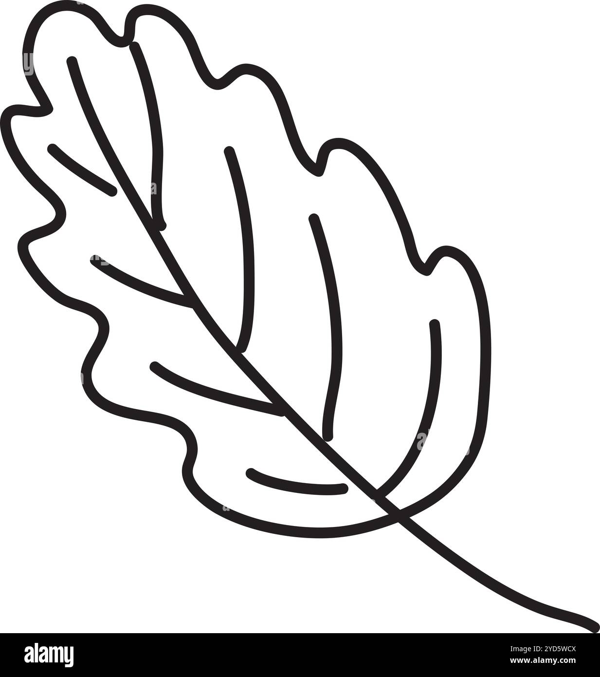 oak leaf with veins, hand drawn with black brush, white background ...
