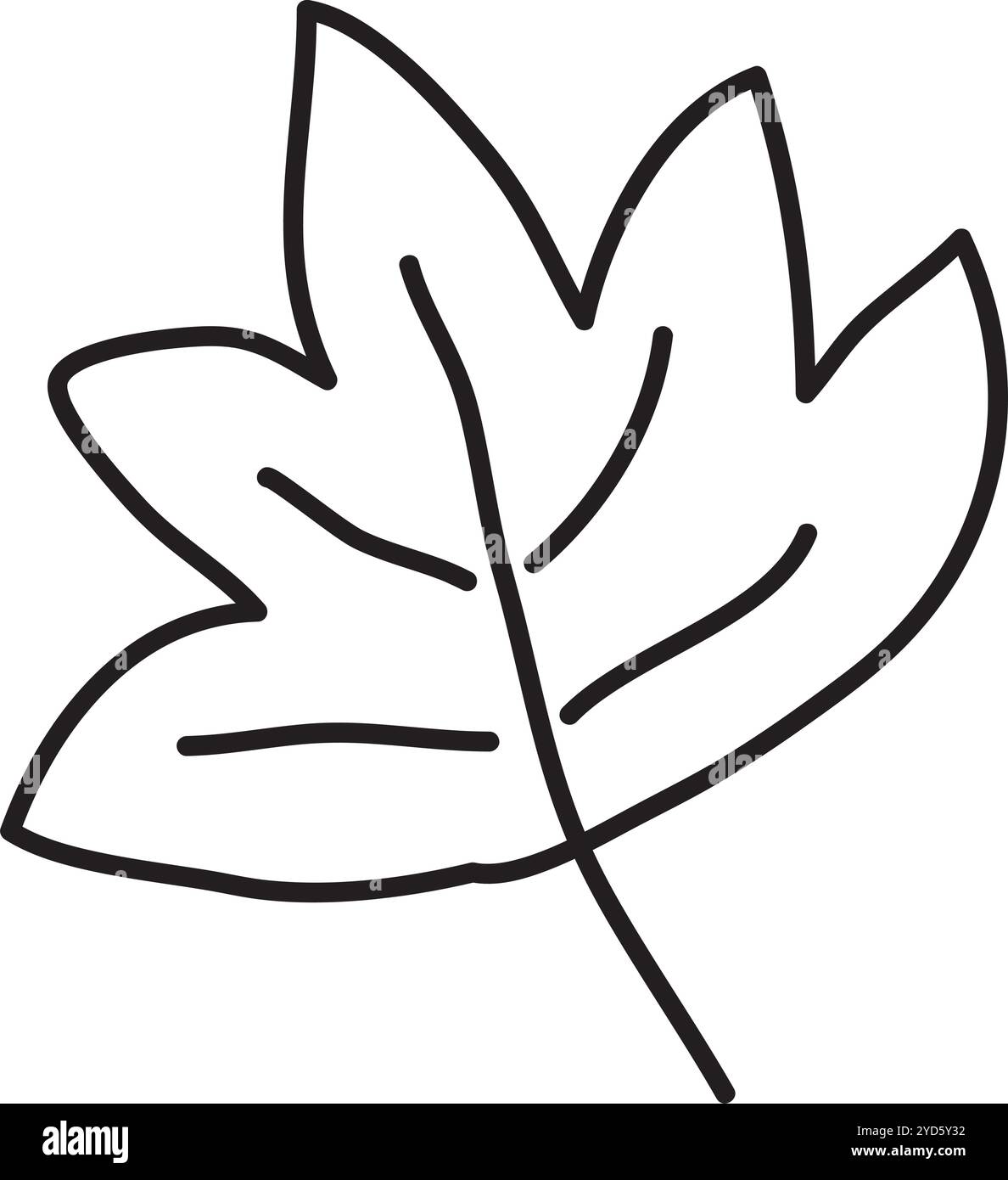 leaf with veins with five lobes, hand drawn with black brush, white ...