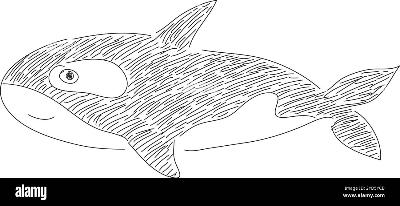 happy killer whale side view, hand drawn with black brush on white ...