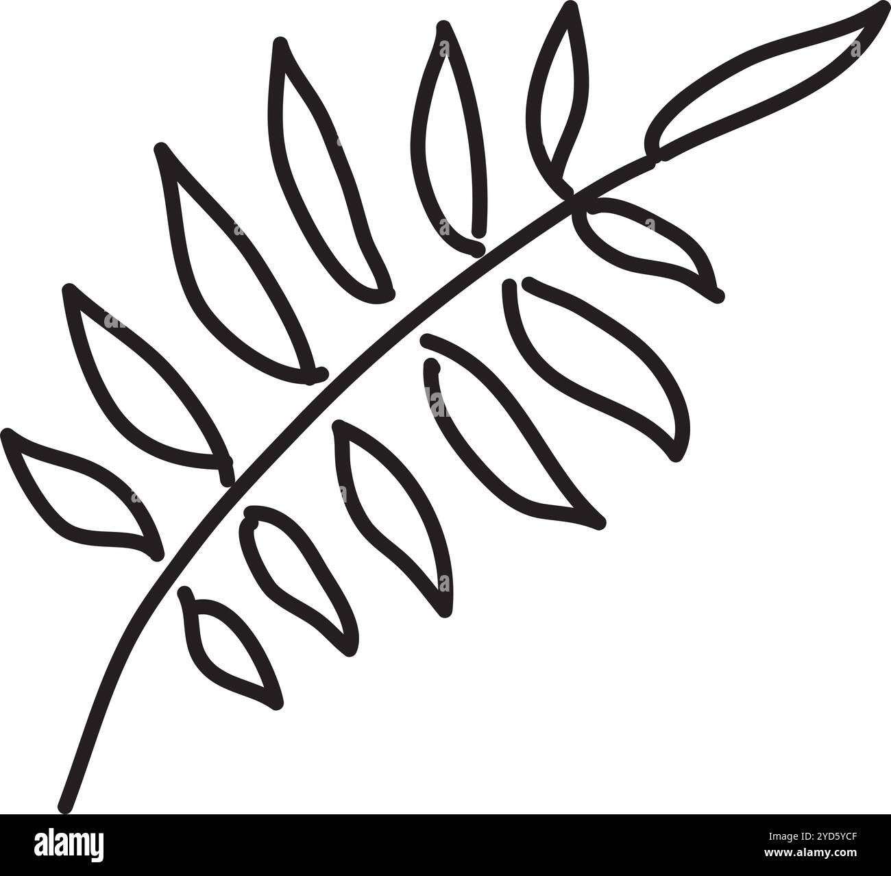 leaf with many leaves, palm leaf hand drawn with black brush, white ...
