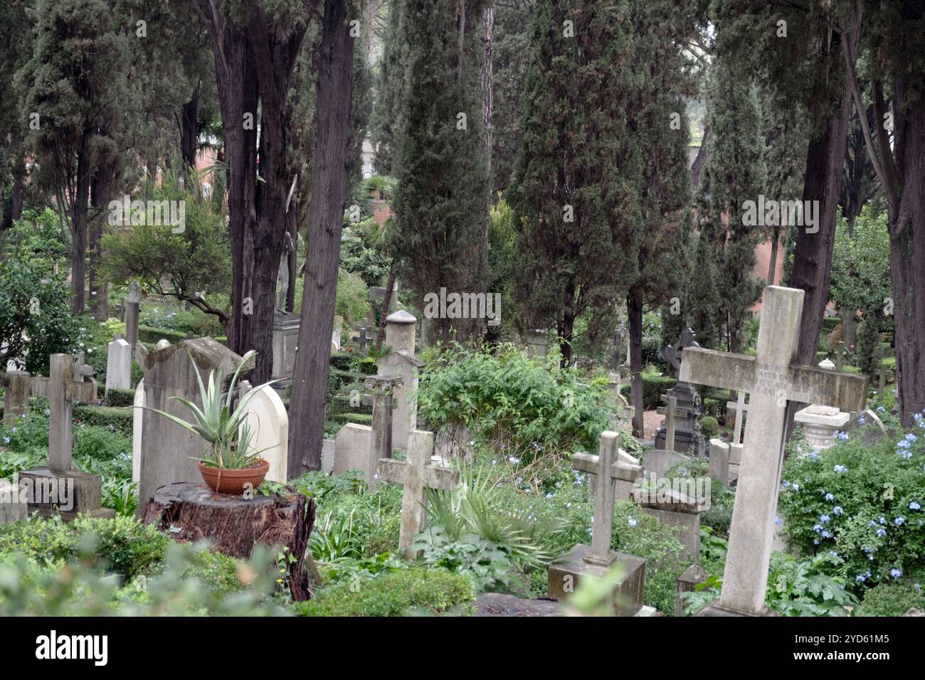 Graves in the Non-Catholic Cemetery for Foreigners in Testaccio, Rome ...