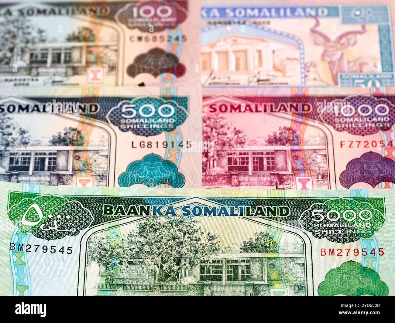 Somaliland shilling a business background Stock Photo - Alamy