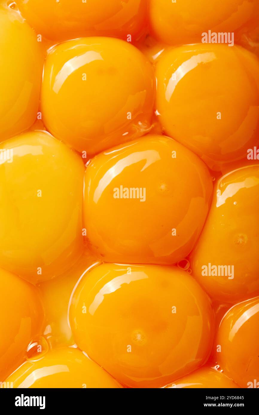 Close-up of several large yolks. The eggs are arranged in a way that ...