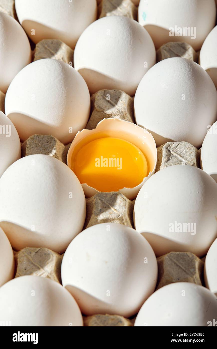 Two dozen eggs, one egg missing. The egg is yellow, the rest are white Stock Photo - Alamy