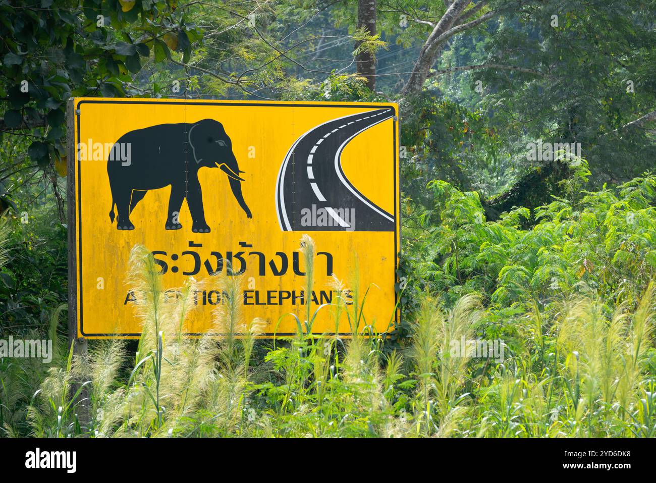 Road metal sign Caution elephants crossing text Attention elephant ...