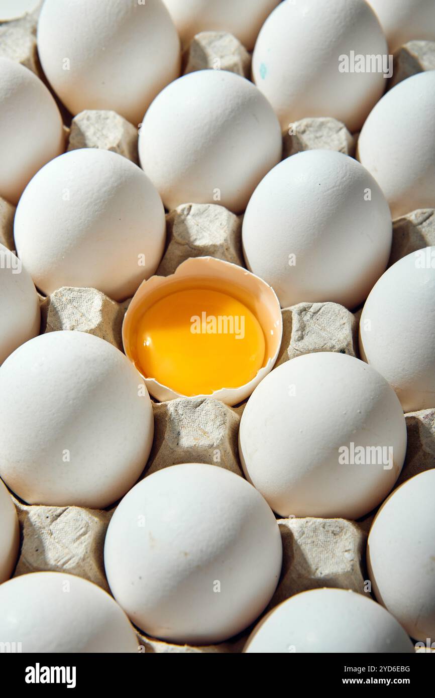 Two dozen eggs, one egg missing. The egg is yellow, the rest are white Stock Photo - Alamy