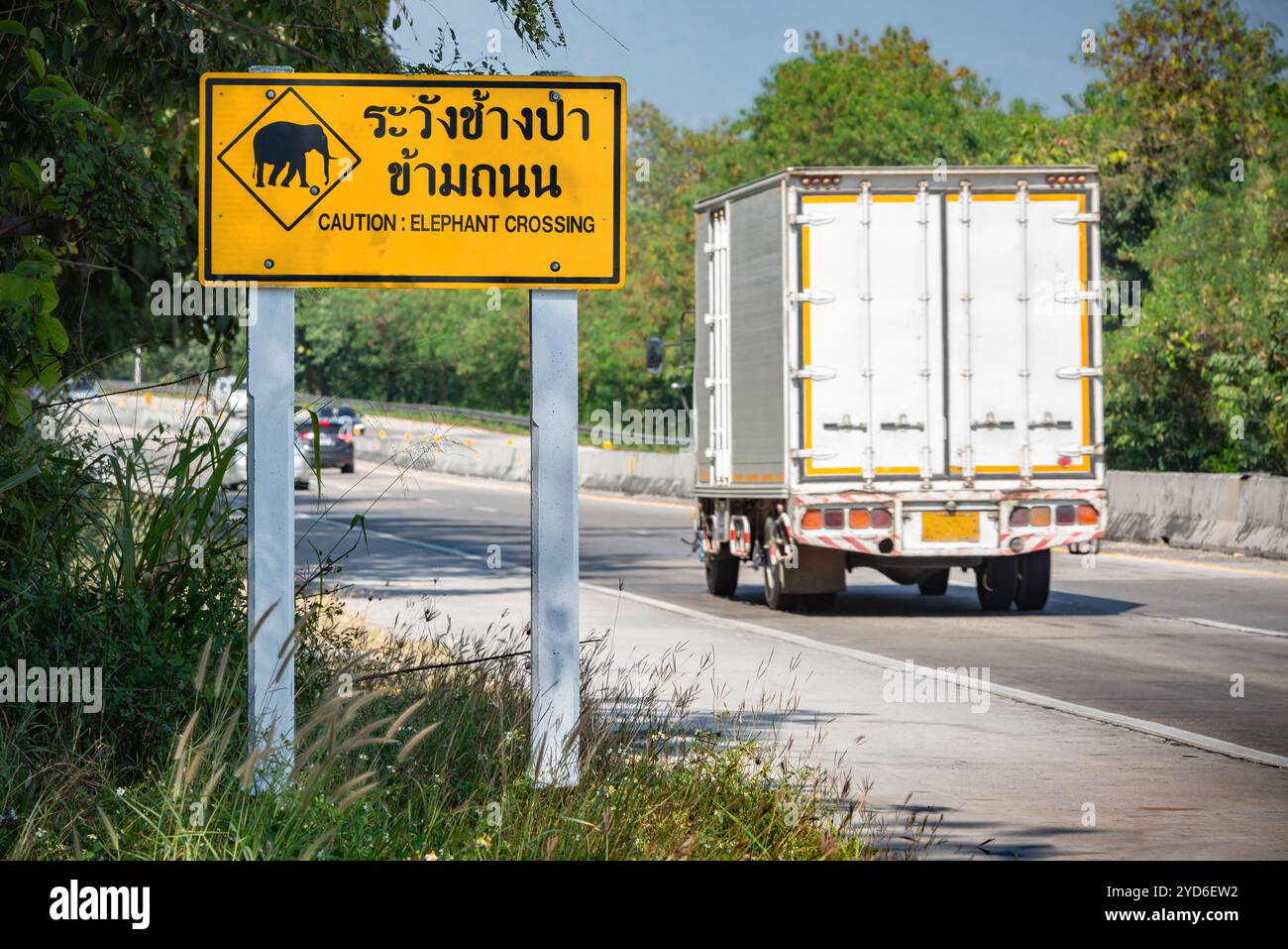 Road metal sign Caution elephants crossing text Caution elephant ...