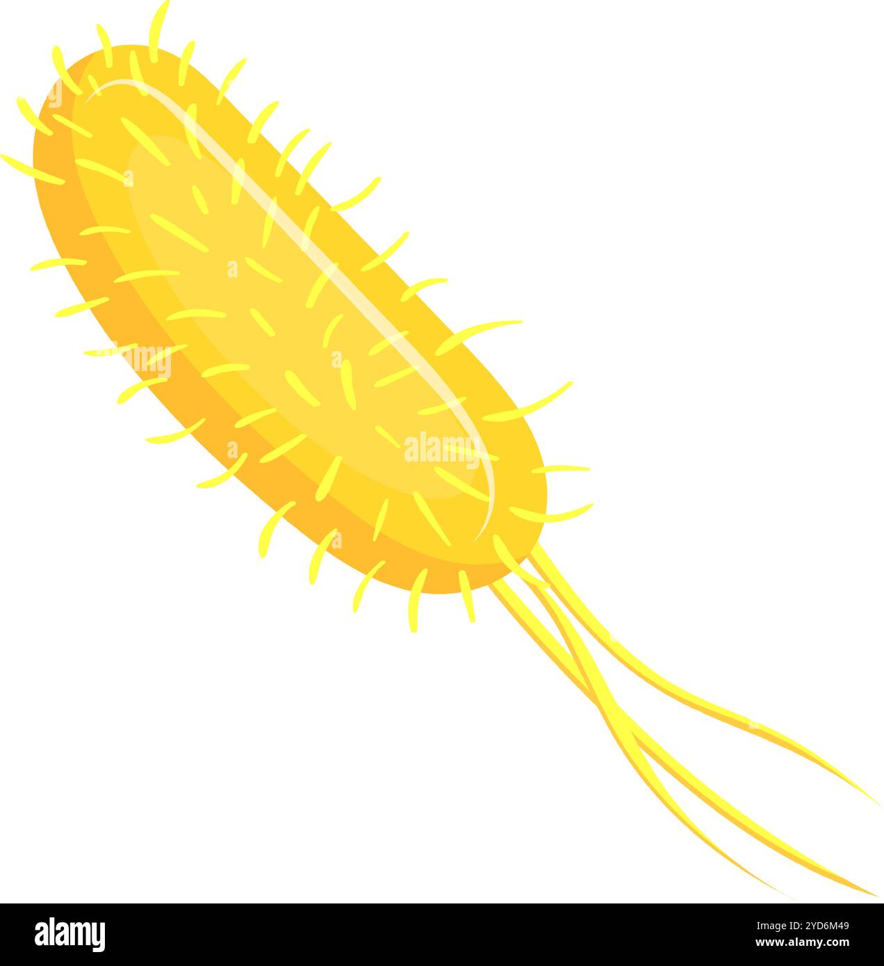 Food poisoning prevention hi-res stock photography and images - Alamy