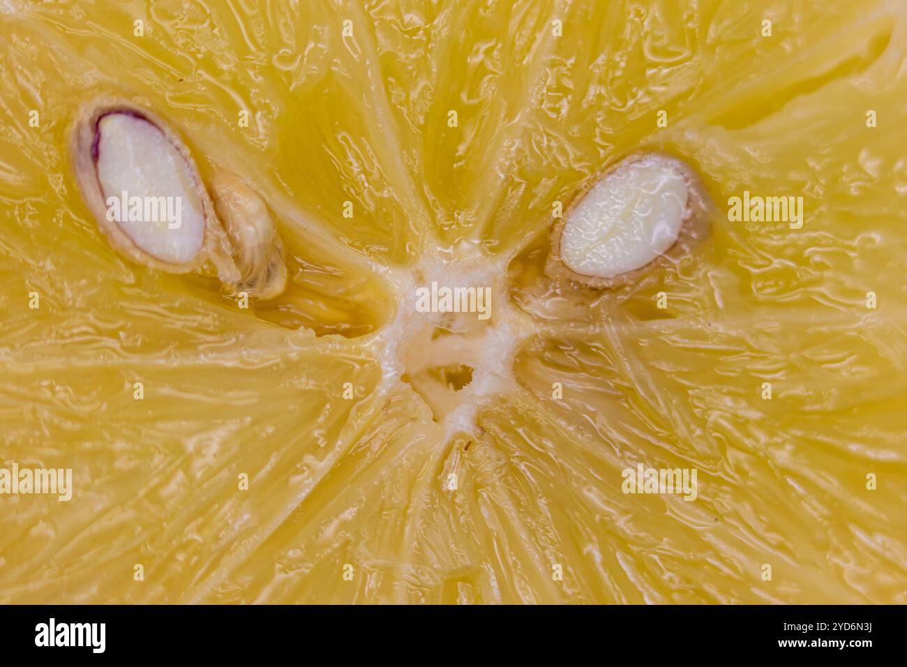 This macro photograph captures a close-up view of a lemon slice ...
