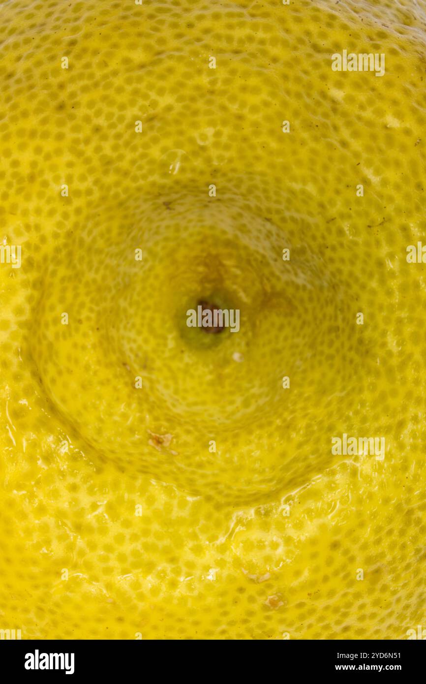 Section captures hi-res stock photography and images - Alamy