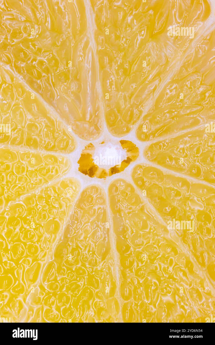 This macro photograph reveals the detailed interior of a lemon ...