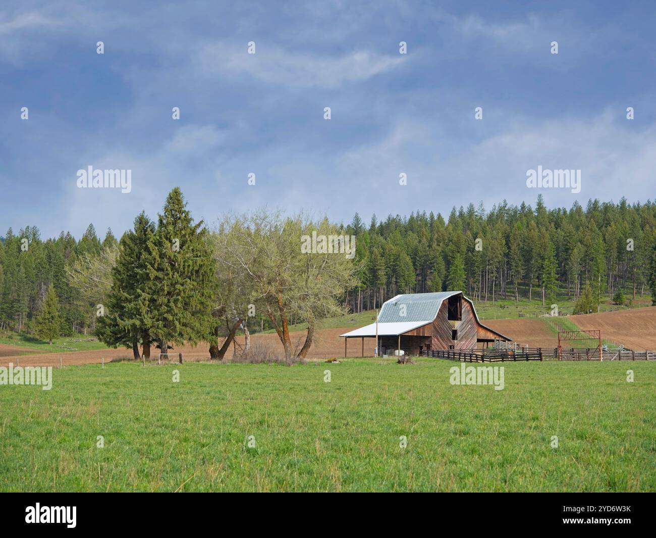 Barn and trees in field Stock Photo - Alamy