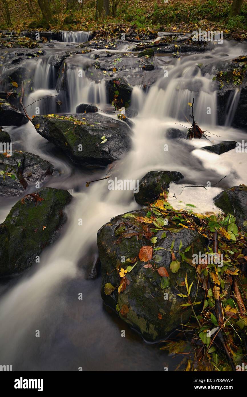 Beautiful colorful natural background with a stream in the forest and ...