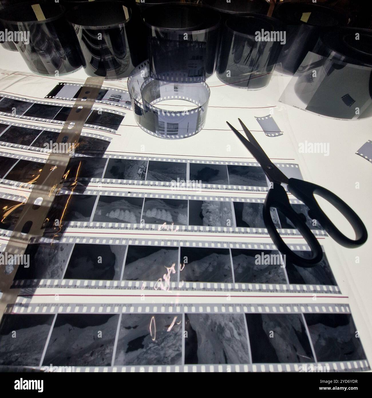 Analogic photography, strips of B&W negatives, France Stock Photo - Alamy