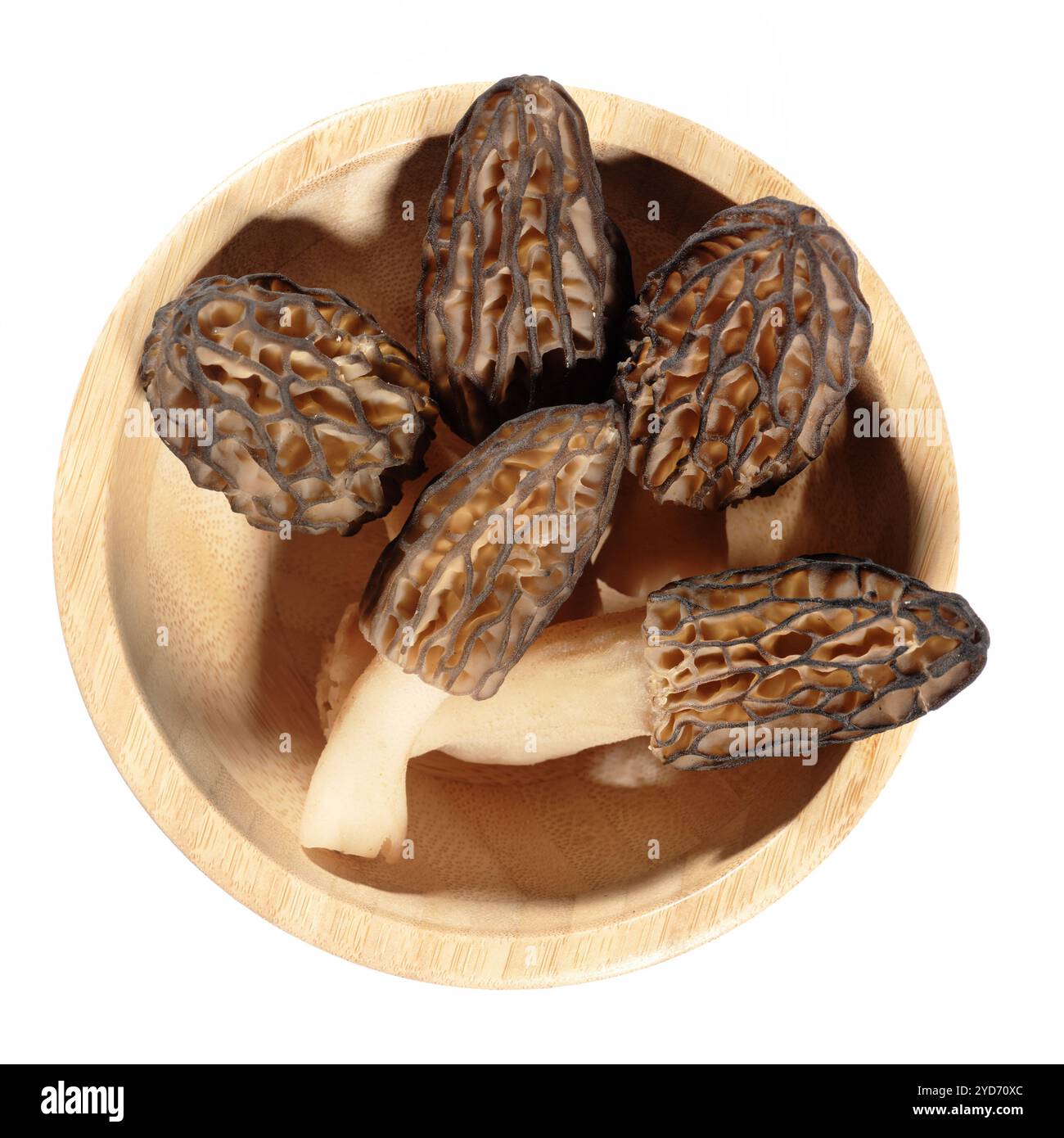 Top view closeup fungi Cut Out Stock Images & Pictures - Alamy