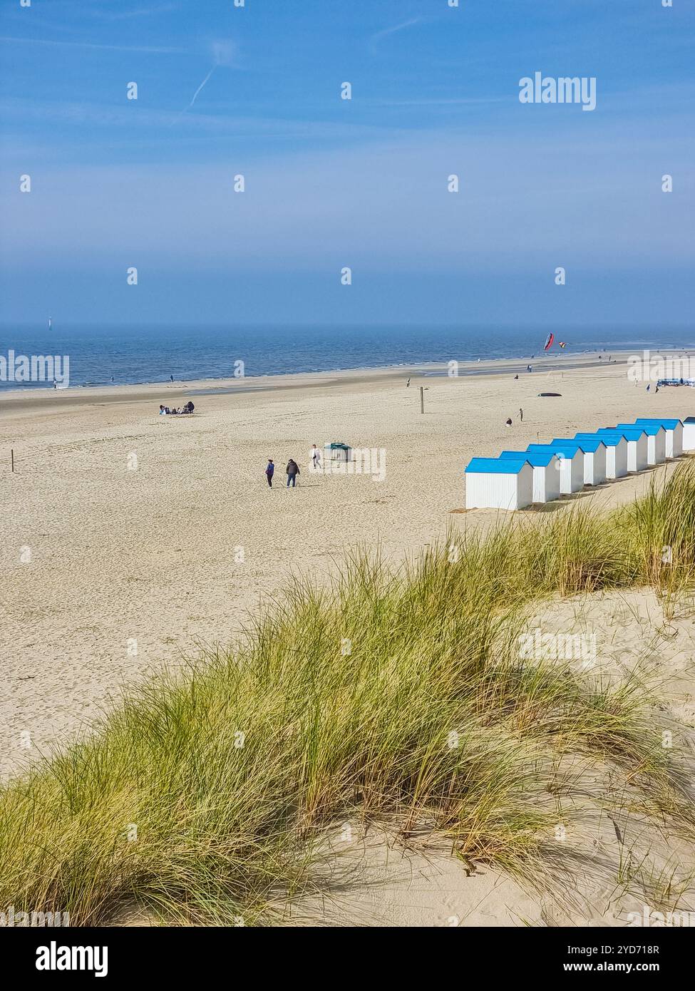 A tranquil beach setting with golden sand and charming huts nestled ...