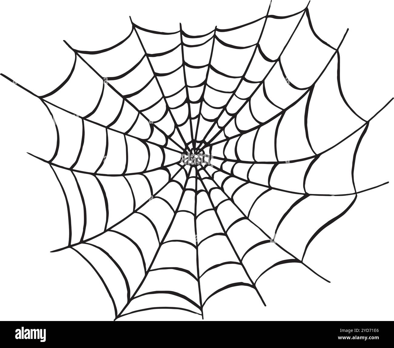 Spider web sketch. Vector graphic line illustration, hand drawn ...