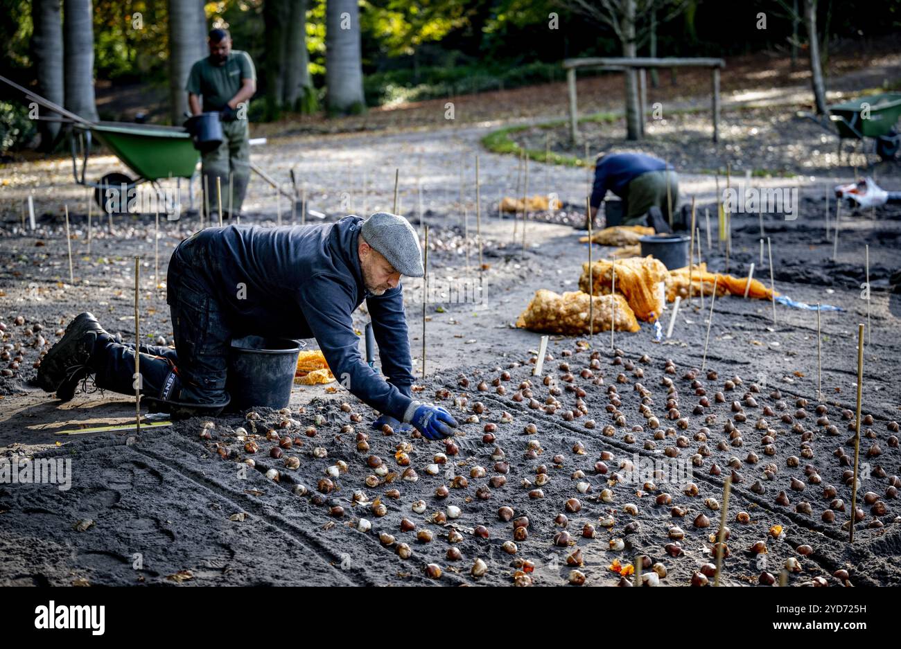 Plantmoment hi-res stock photography and images - Alamy