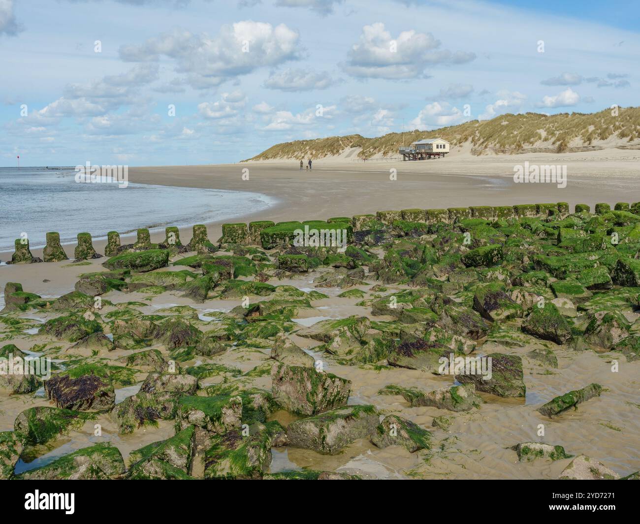 Ameland island in the netherlands Stock Photo - Alamy