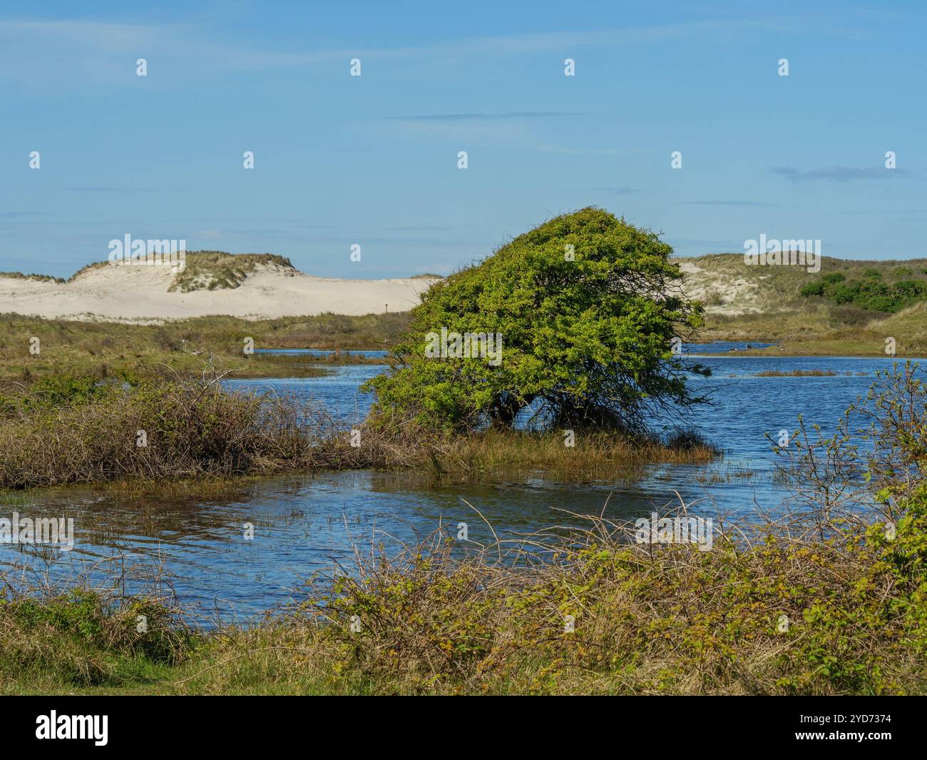 Ameland island in the netherlands Stock Photo - Alamy