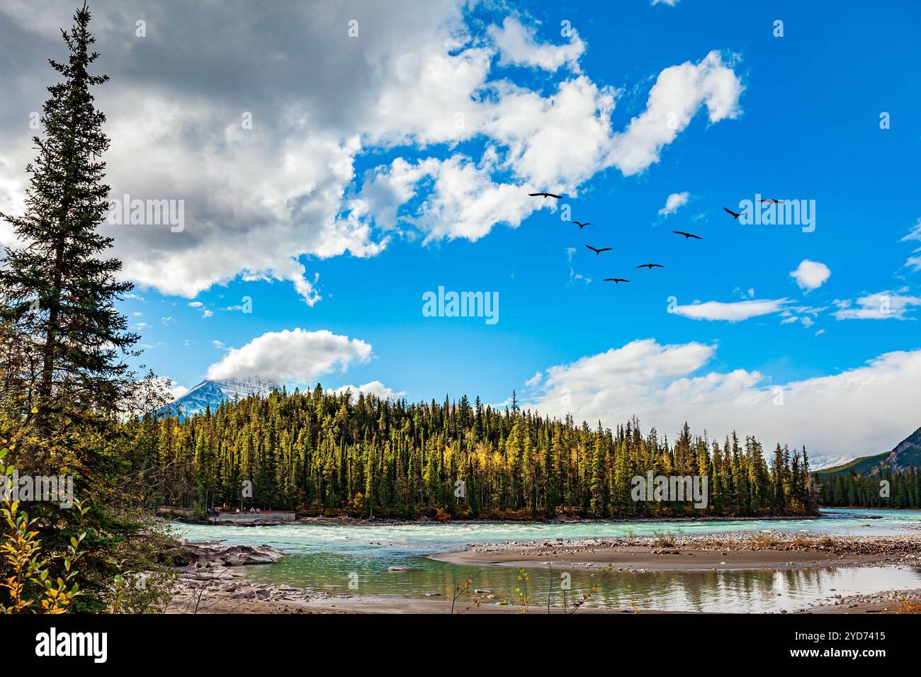 The Athabasca River Stock Photo - Alamy
