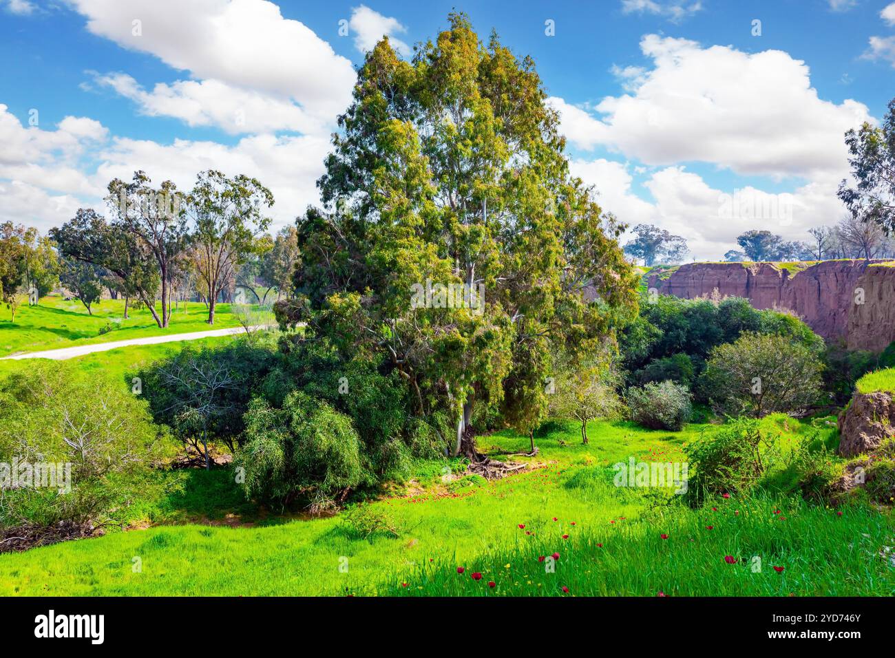 Kibbutz beeri hi-res stock photography and images - Alamy