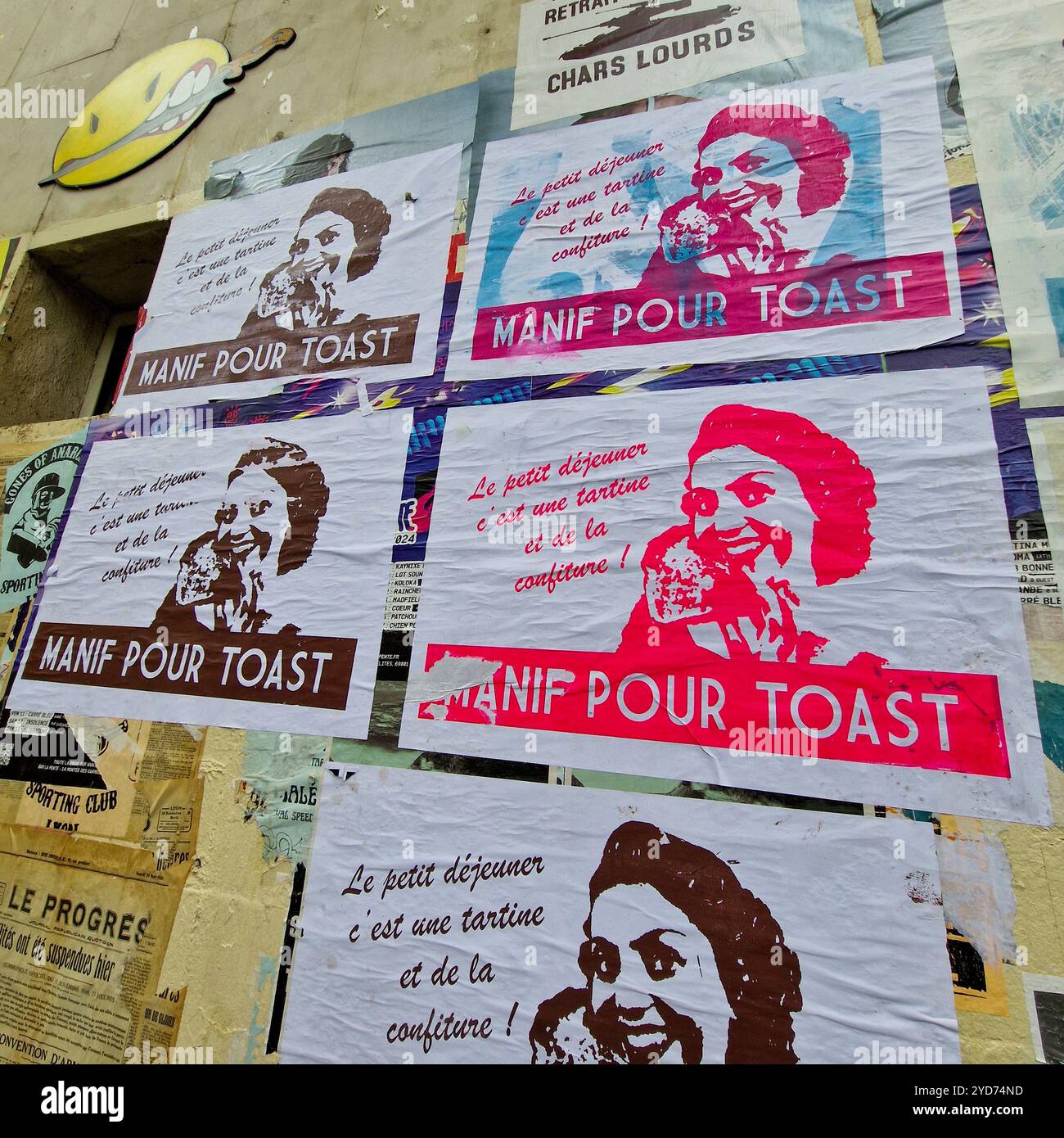 On the walls of La Croix-Rousse district, Lyon, France Stock Photo - Alamy