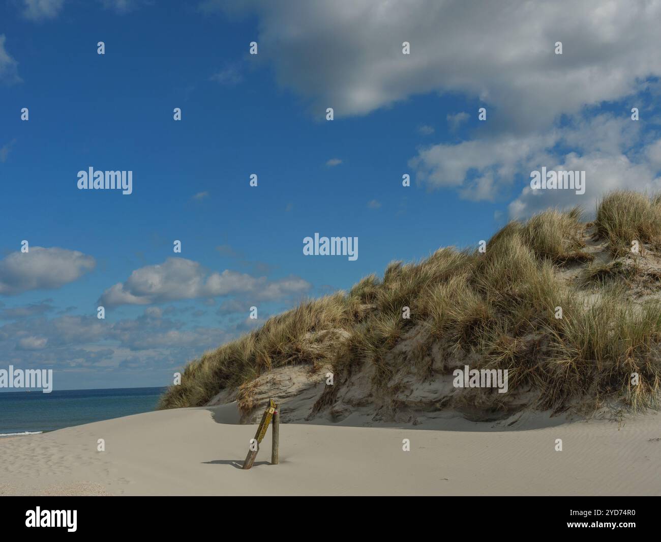 Ameland island in the netherlands Stock Photo - Alamy