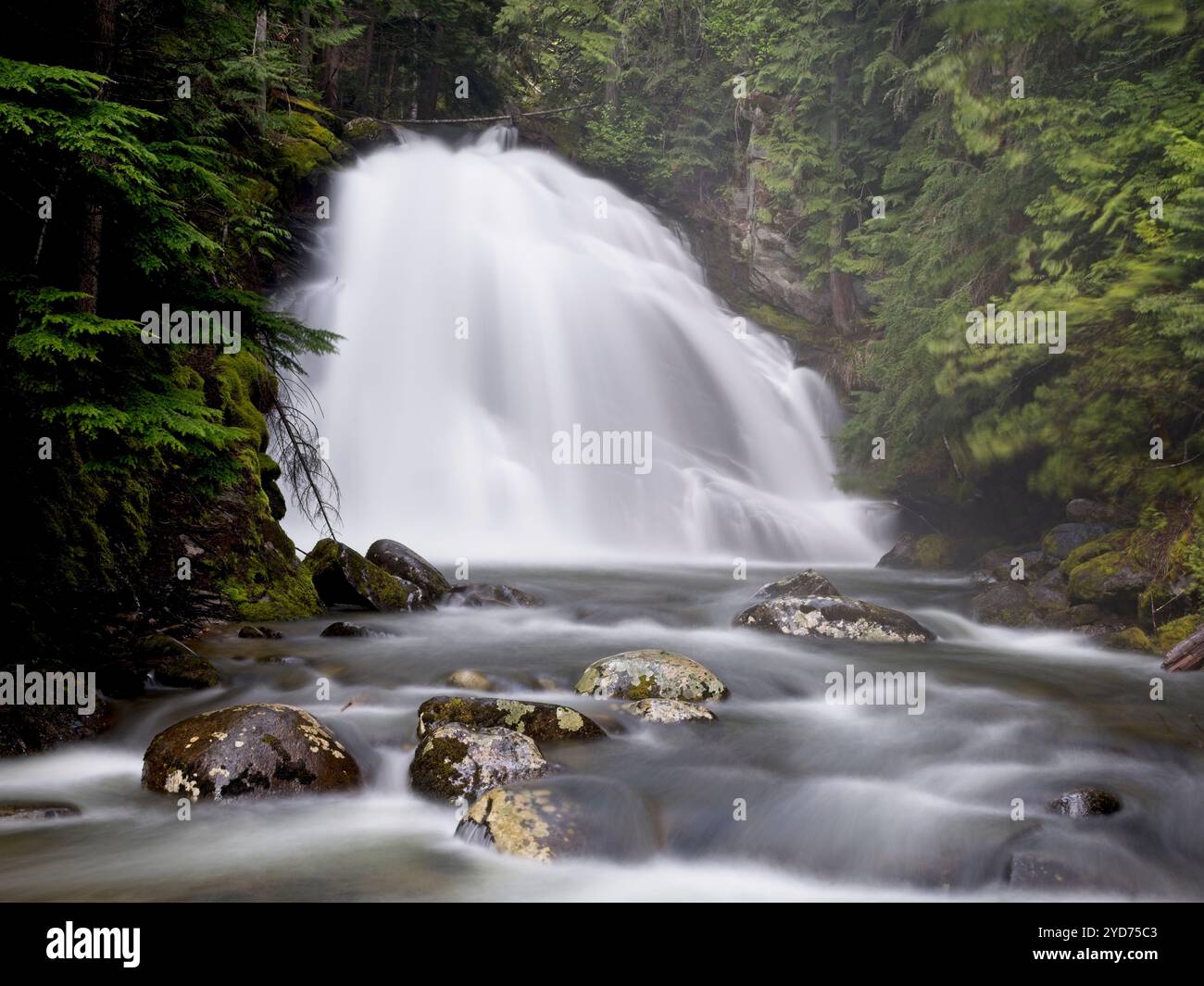 The scenic and roaring upper Snow Creek Falls near Bonners Ferry, Idaho ...
