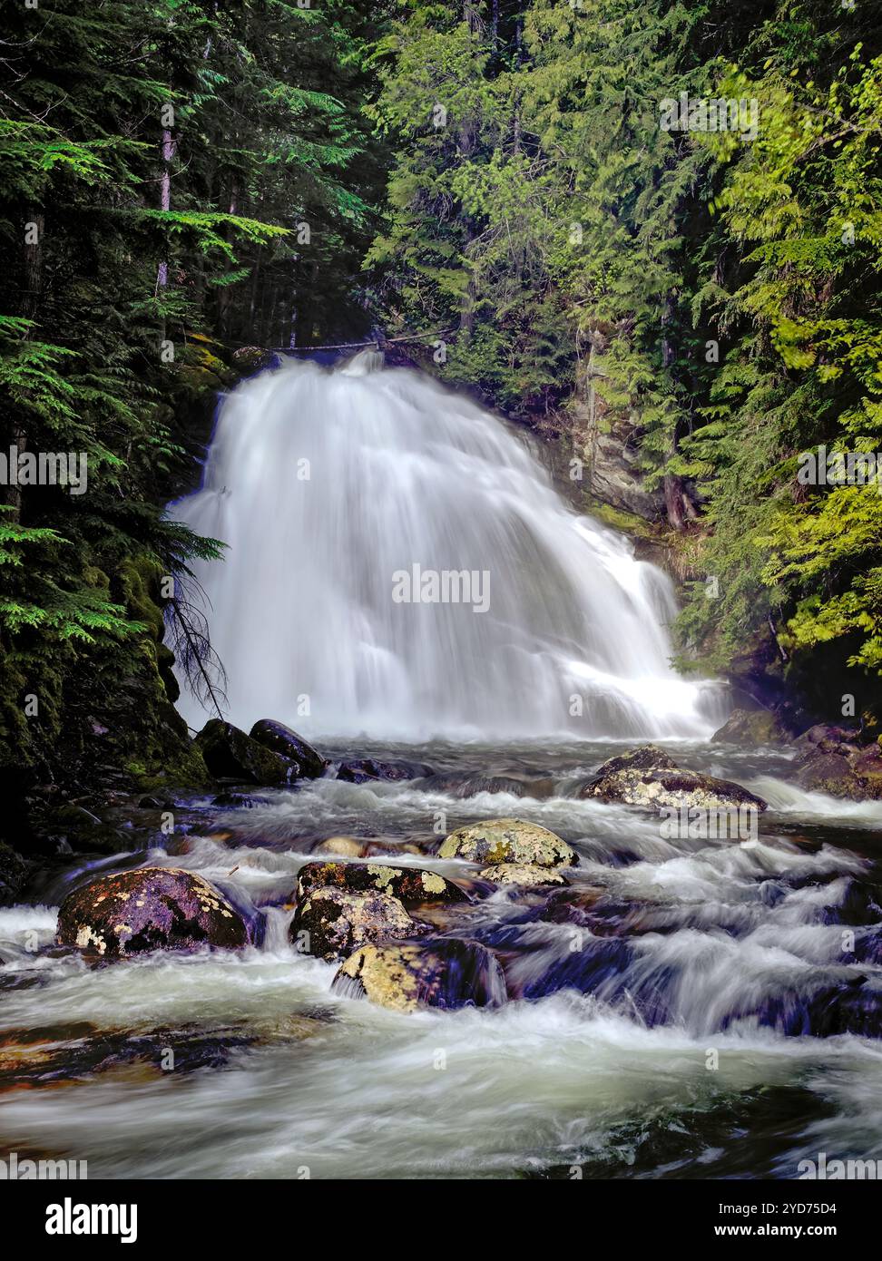 The scenic and roaring upper Snow Creek Falls near Bonners Ferry, Idaho ...