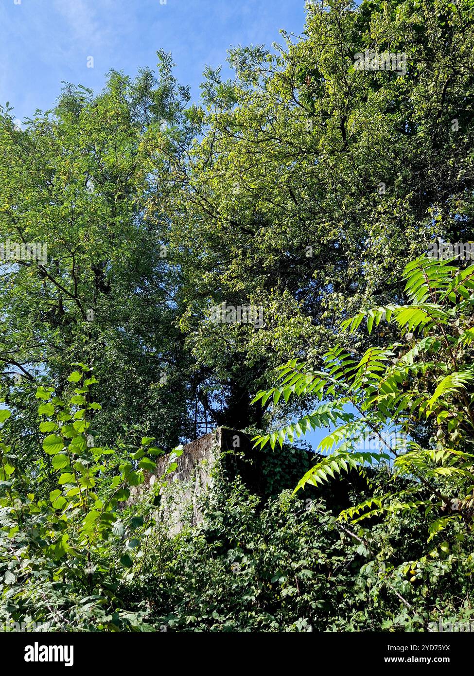 German anti-aircraft gun position, Bron's fortress, France Stock Photo ...