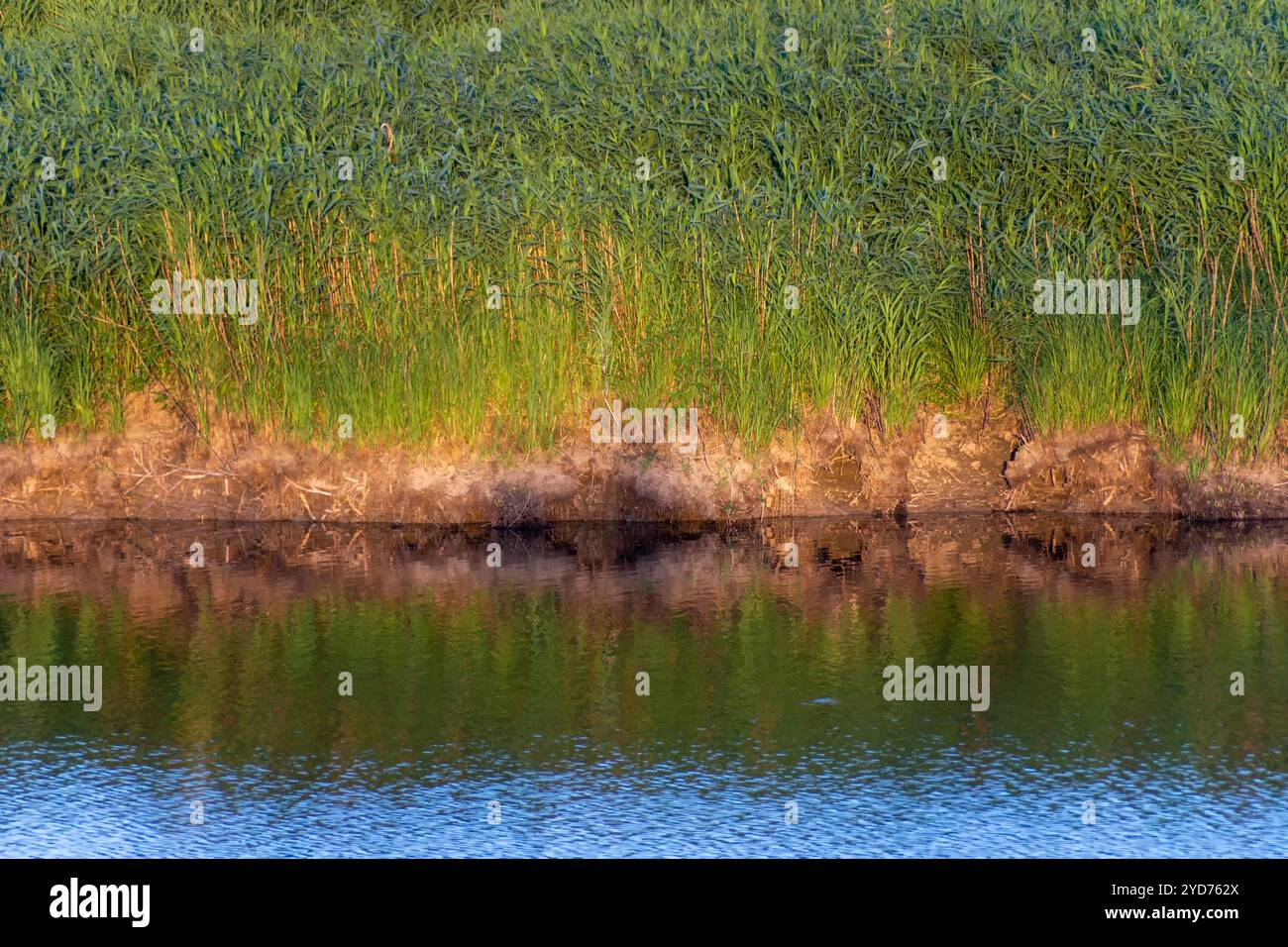 Landscape river tree in spring hi-res stock photography and images - Alamy