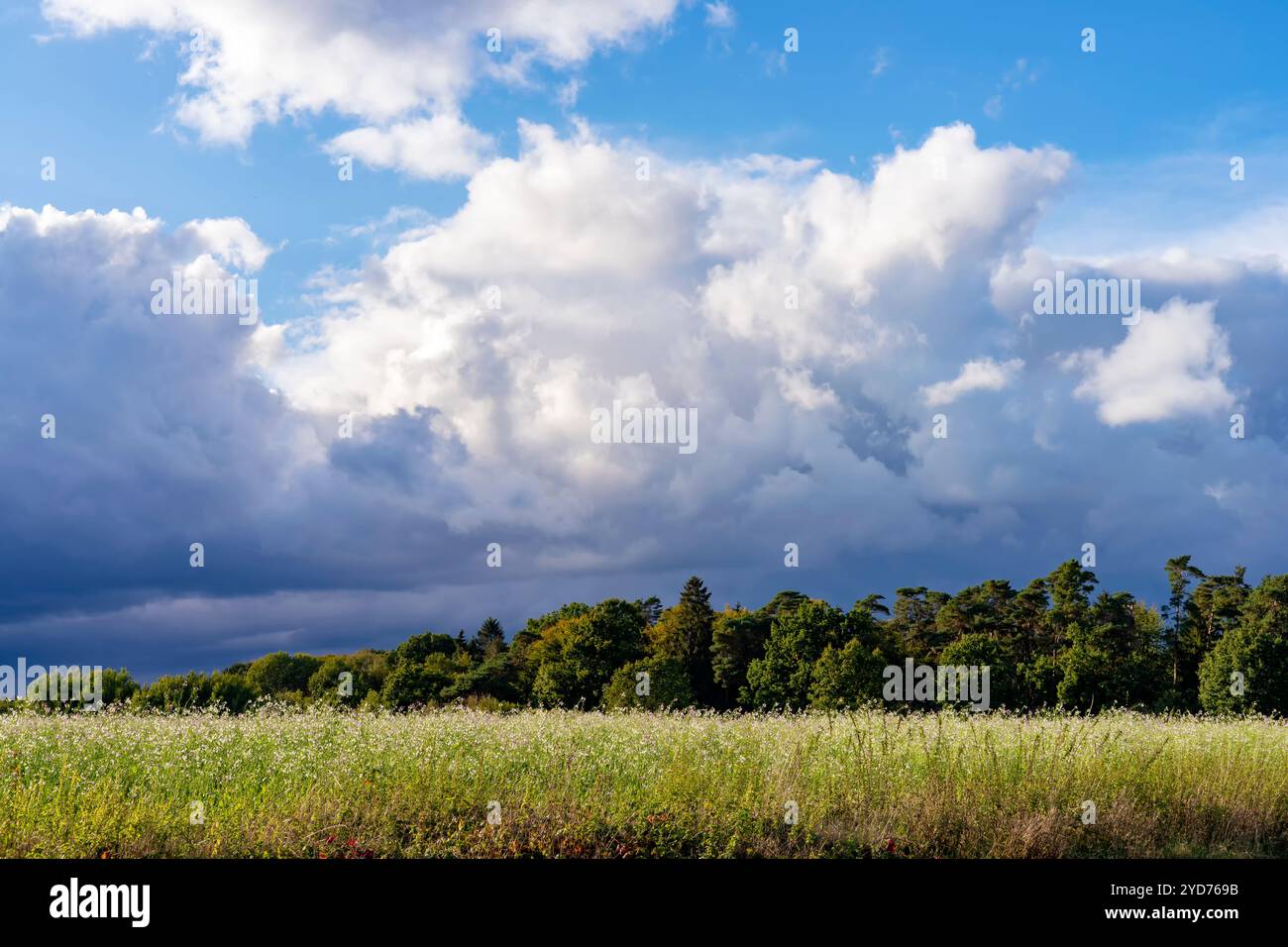 Fair weather and thunderclouds Stock Photo - Alamy