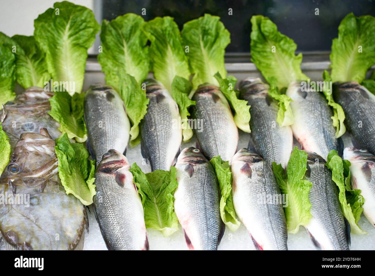 Kusadasi, Turkey - September 1, 2024: Fish and seafood at the fish ...