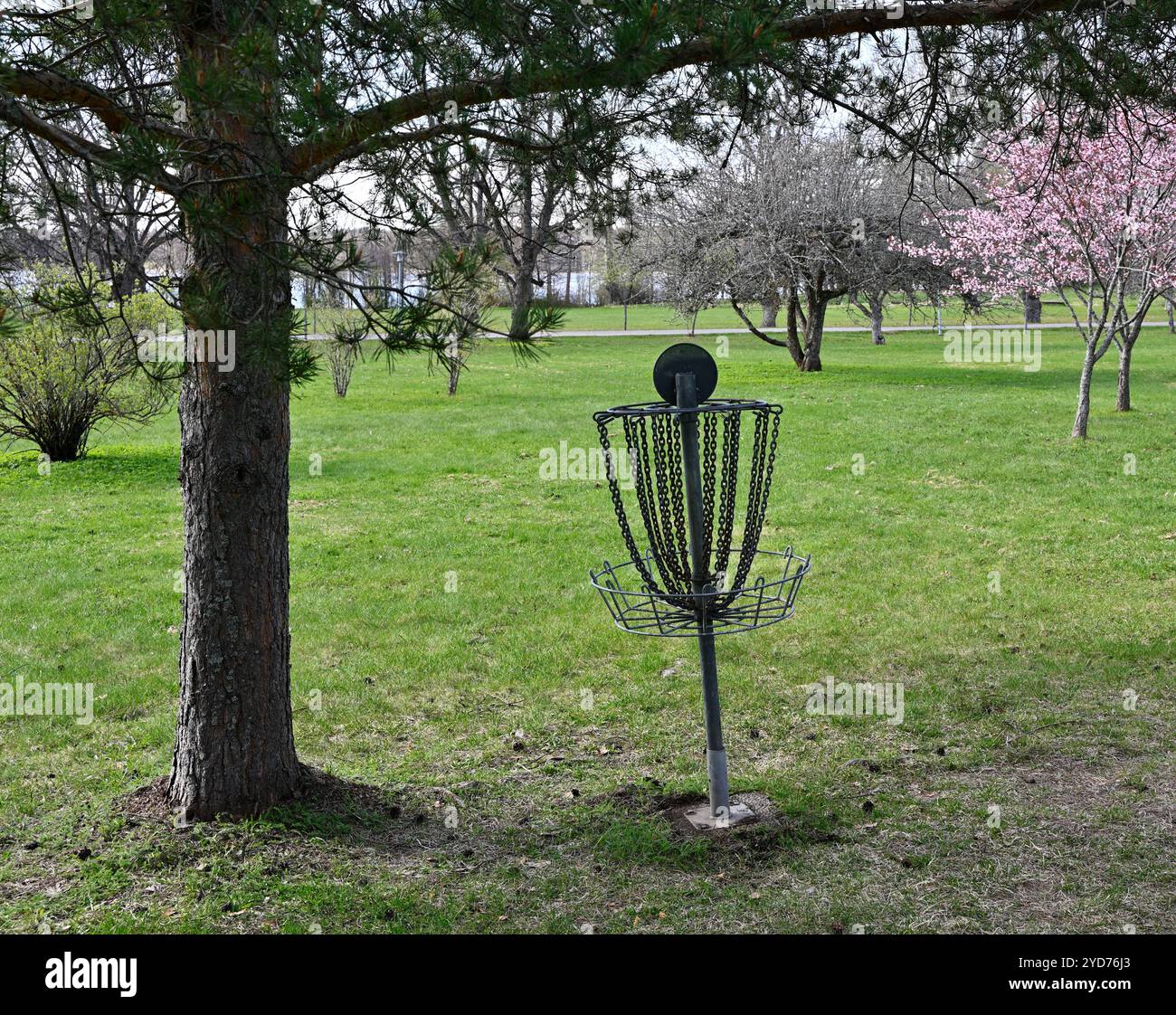 Golf frisbee basket in park Stock Photo - Alamy