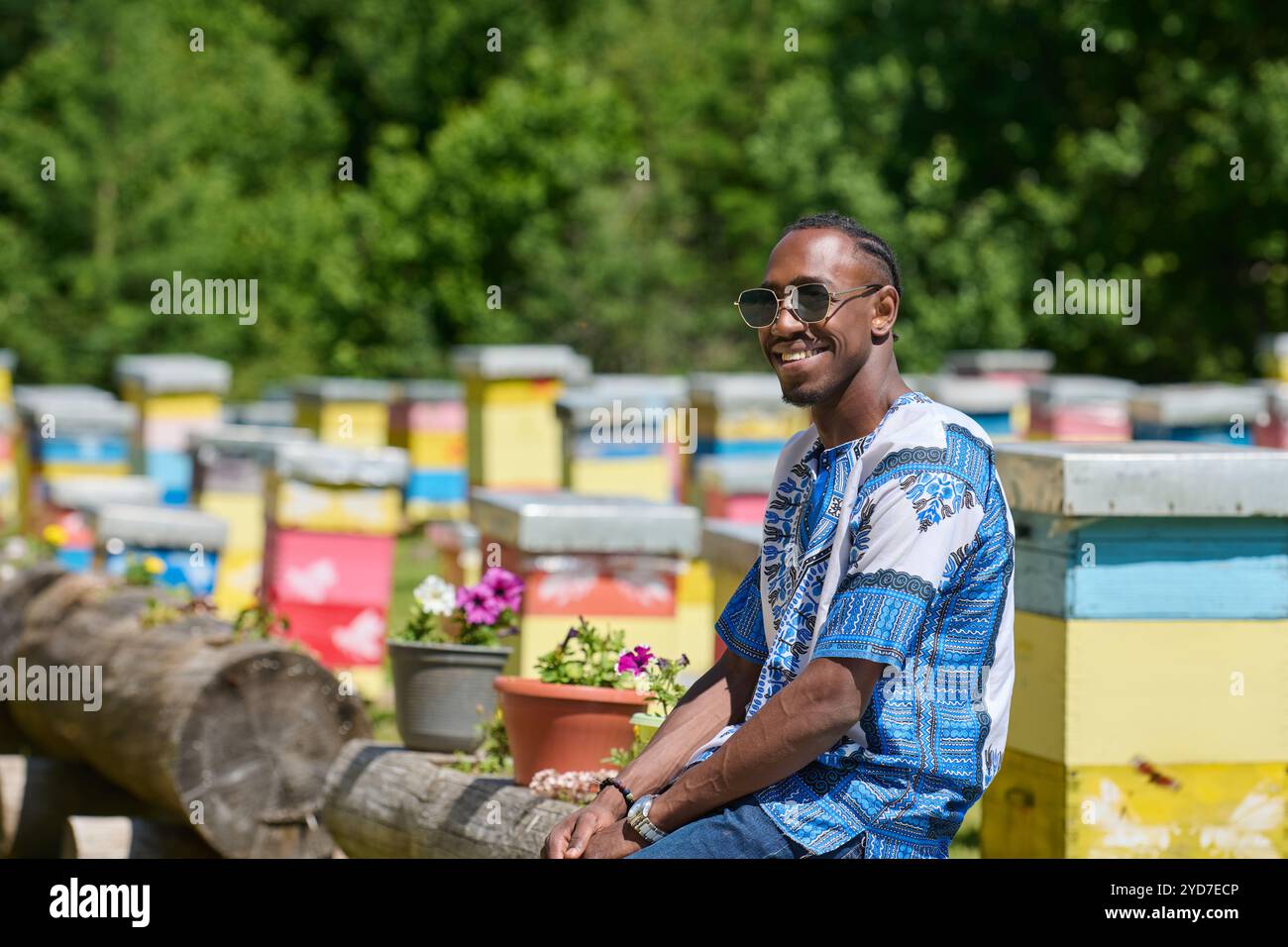 Beekeepingbusiness hi-res stock photography and images - Alamy