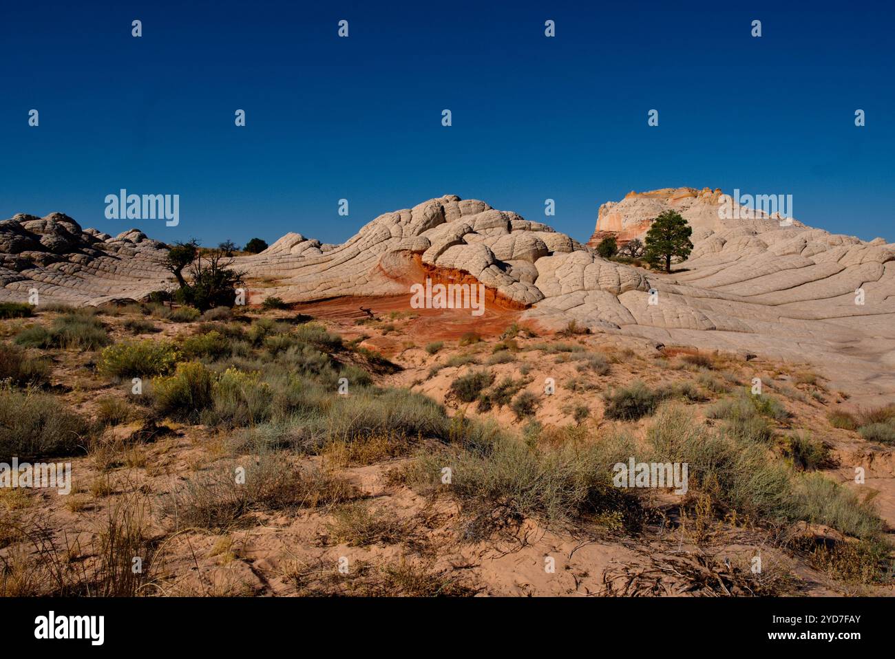 The White Pocket area of Vermilion Cliffs National Monument Stock Photo ...