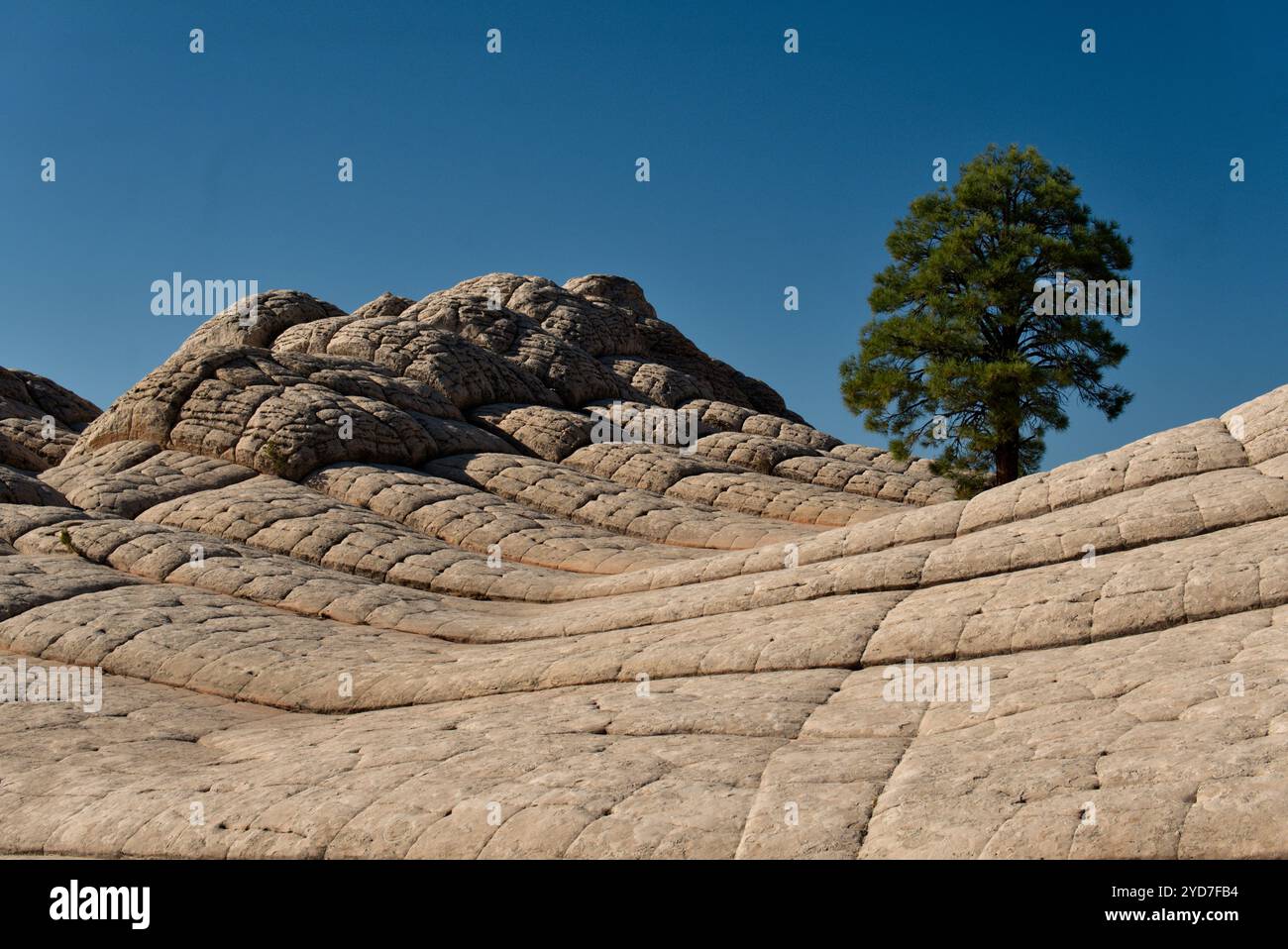 The White Pocket area of Vermilion Cliffs National Monument Stock Photo ...