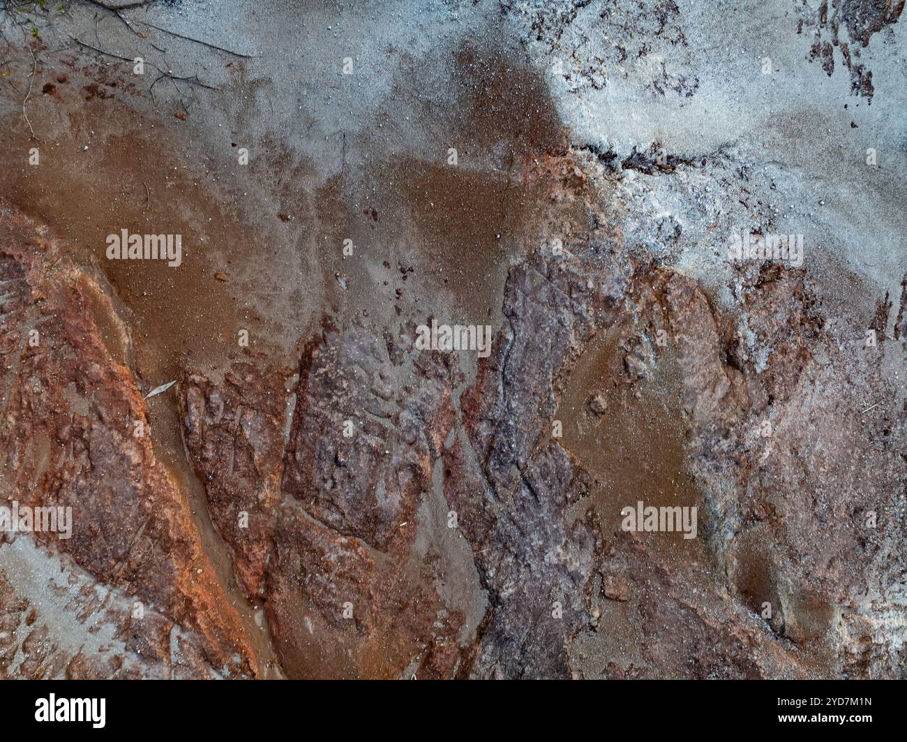 Top down composition nature hi-res stock photography and images - Alamy