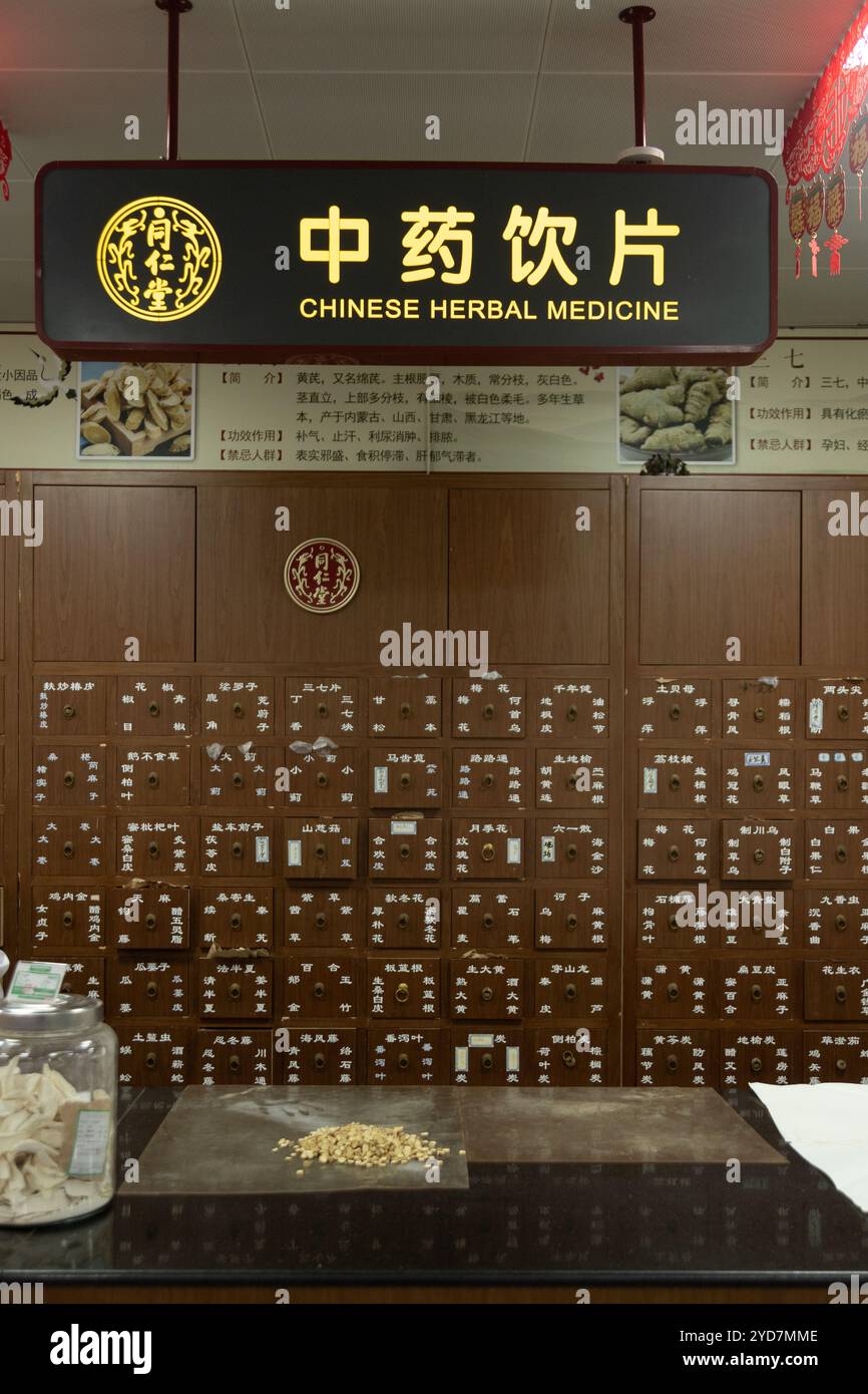 Traditional Chinese Herbal Pharmacy Beijing with medicine jars and hebs ...