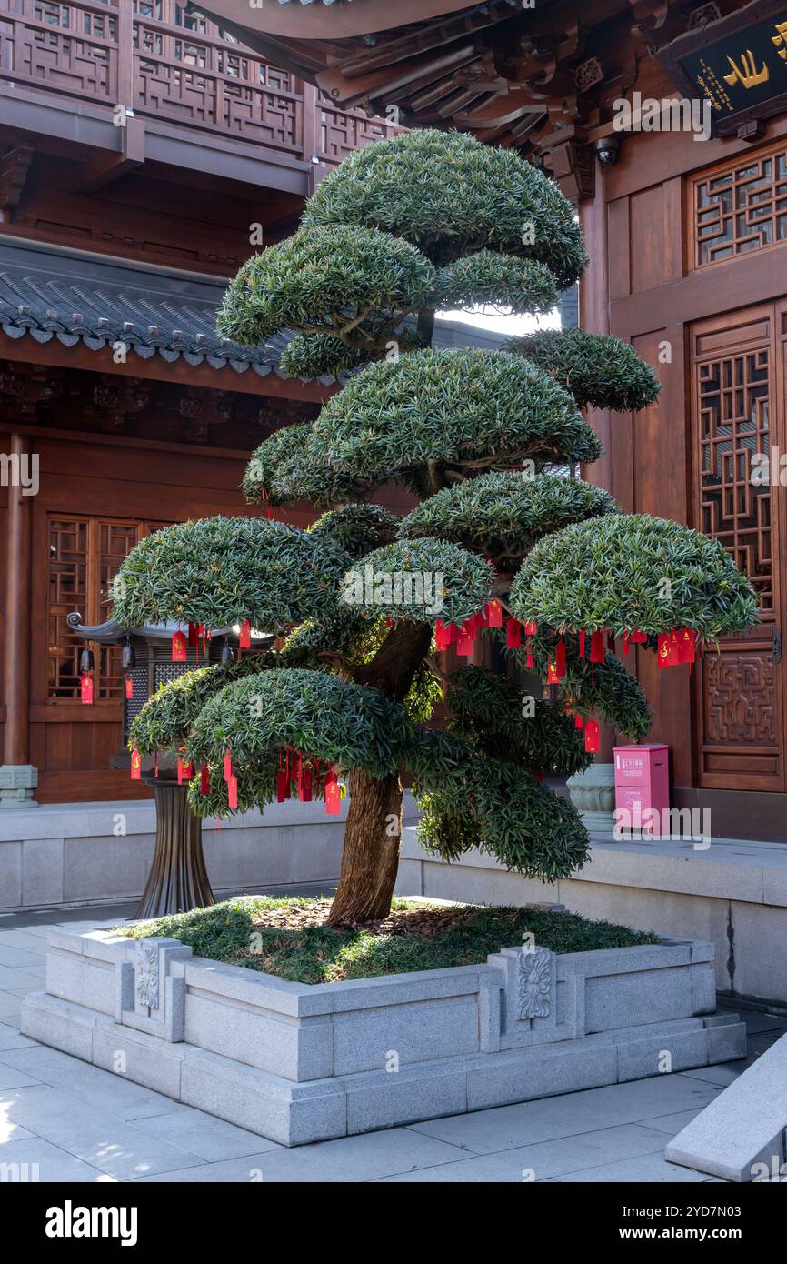 Chinese people jade buddha temple hi-res stock photography and images ...