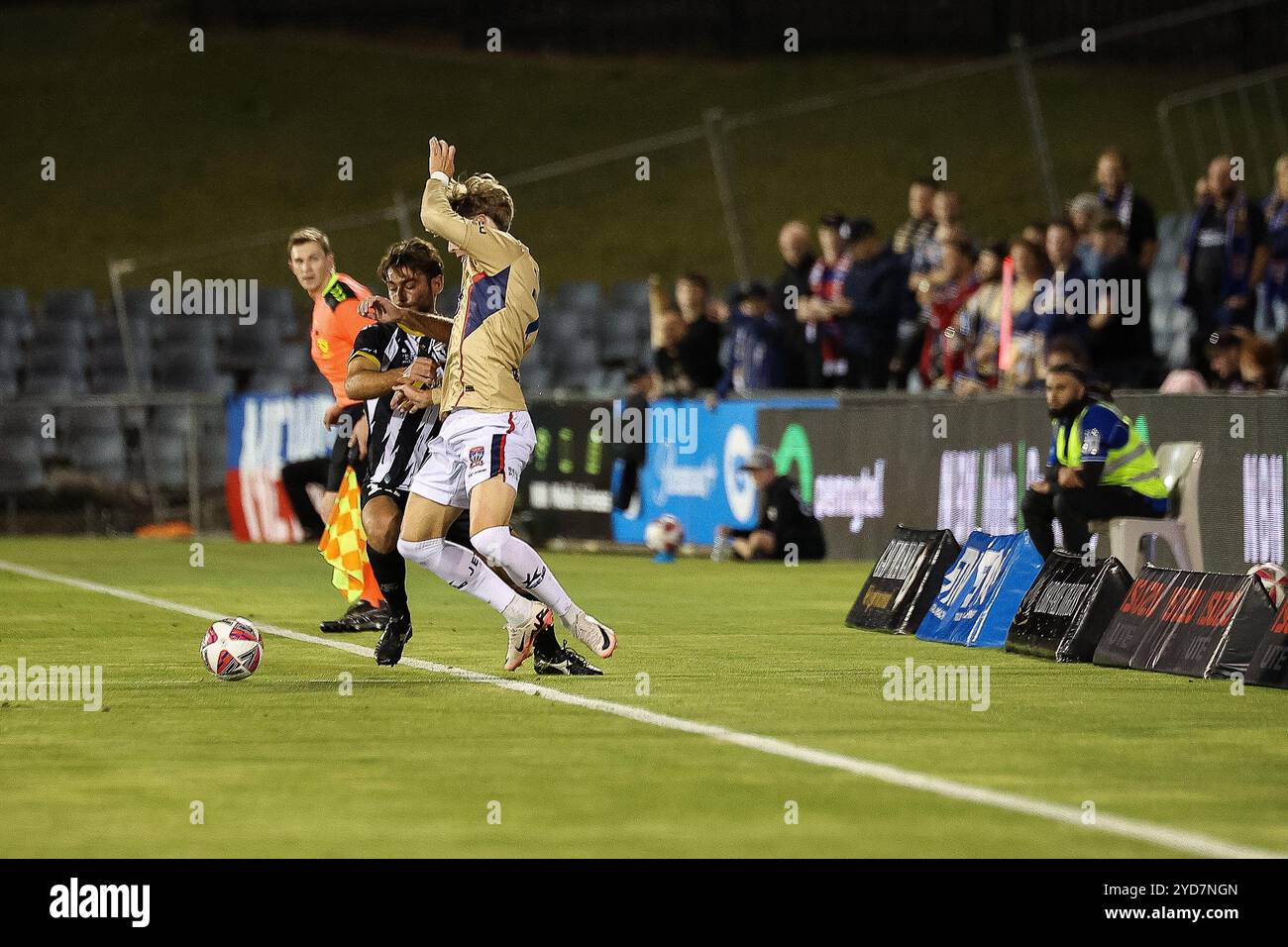 25th October 2024; Campbelltown Stadium, Sydney, NSW, Australia: A ...