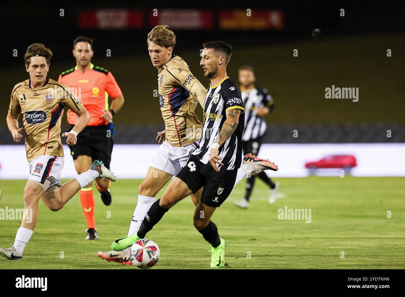 25th October 2024; Campbelltown Stadium, Sydney, NSW, Australia: A ...