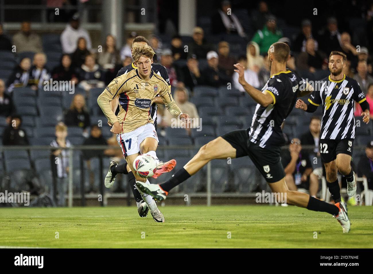 25th October 2024; Campbelltown Stadium, Sydney, NSW, Australia: A ...