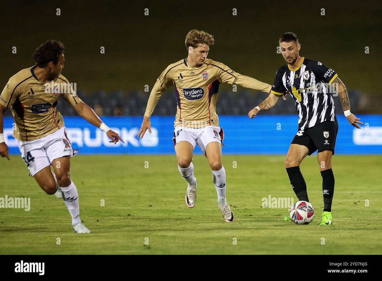 25th October 2024; Campbelltown Stadium, Sydney, NSW, Australia: A ...